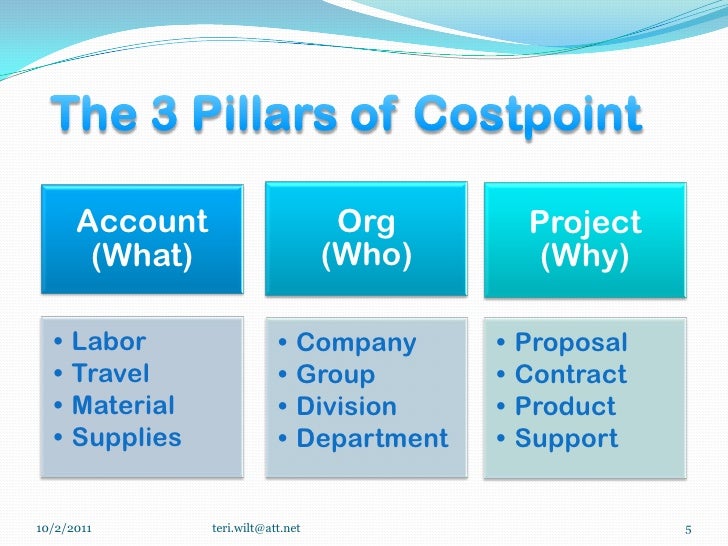 Deltek Costpoint Pillars