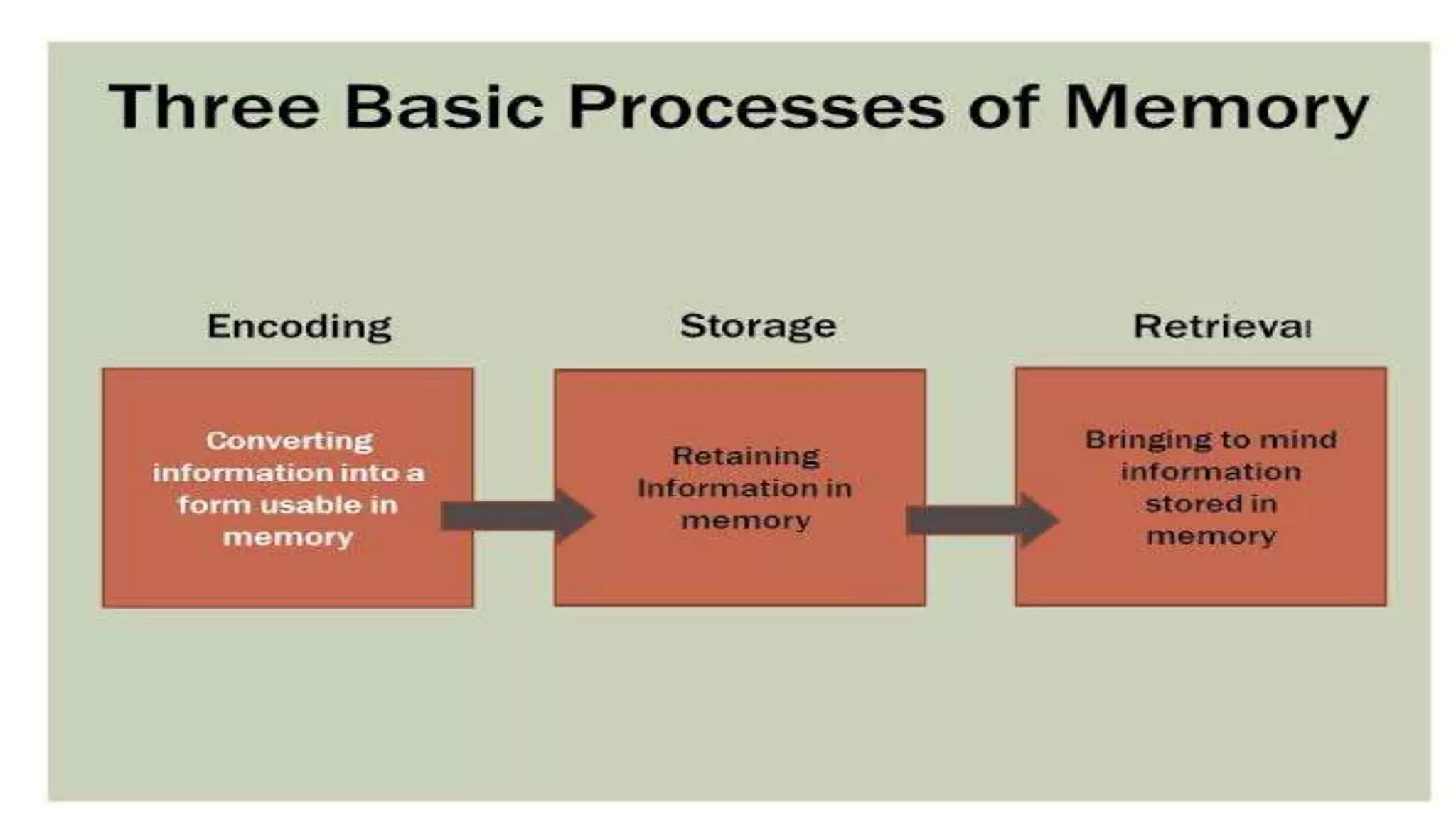 The three rs of memory | PPTX | Data Storage and Warehousing | Computing