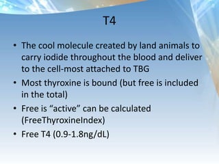 DrRic The thyroid (slide share edition) | PPTX