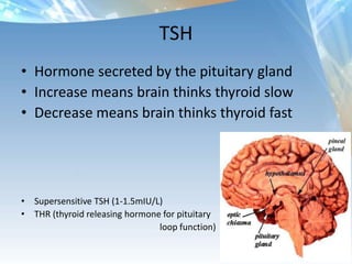 DrRic The thyroid (slide share edition) | PPT
