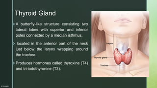 The THYROID GLAND.pptx