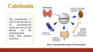The Thyroid gland ppt and throidectomy.pptx