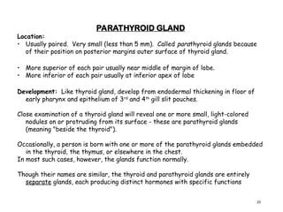 The Thyroid & parathyriod power poin.ppt