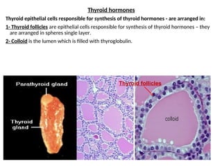 The Thyroid & parathyriod power poin.ppt