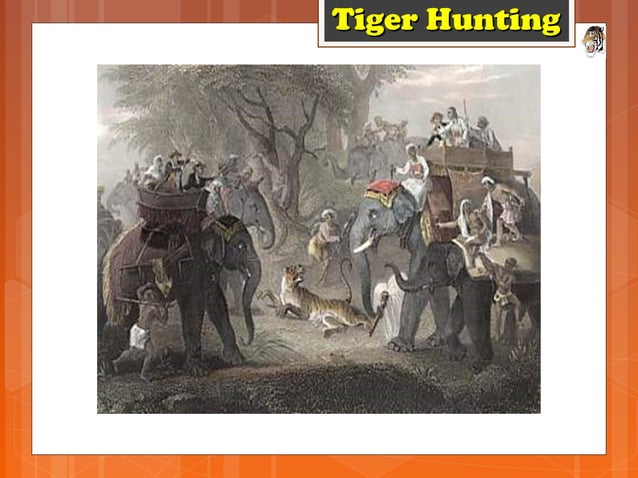 THE TIGER KING (CLASS XII CBSE) | PPT