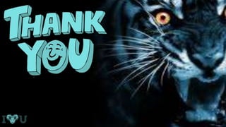 Summary of The King Tiger | PPTX