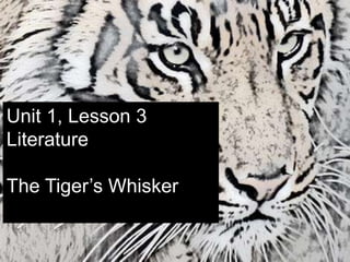 The Tiger's Whisker: Lit. Unit 1, Lesson 3 | PPTX