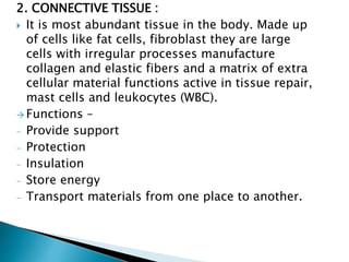 The tissue | PPTX