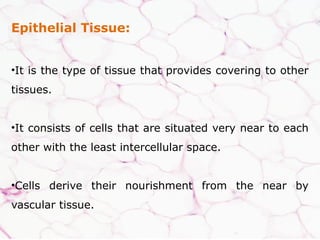 The tissue basic information topic of APHE.pptx