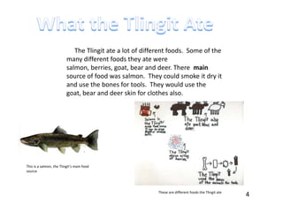 The Tlingit | PPT