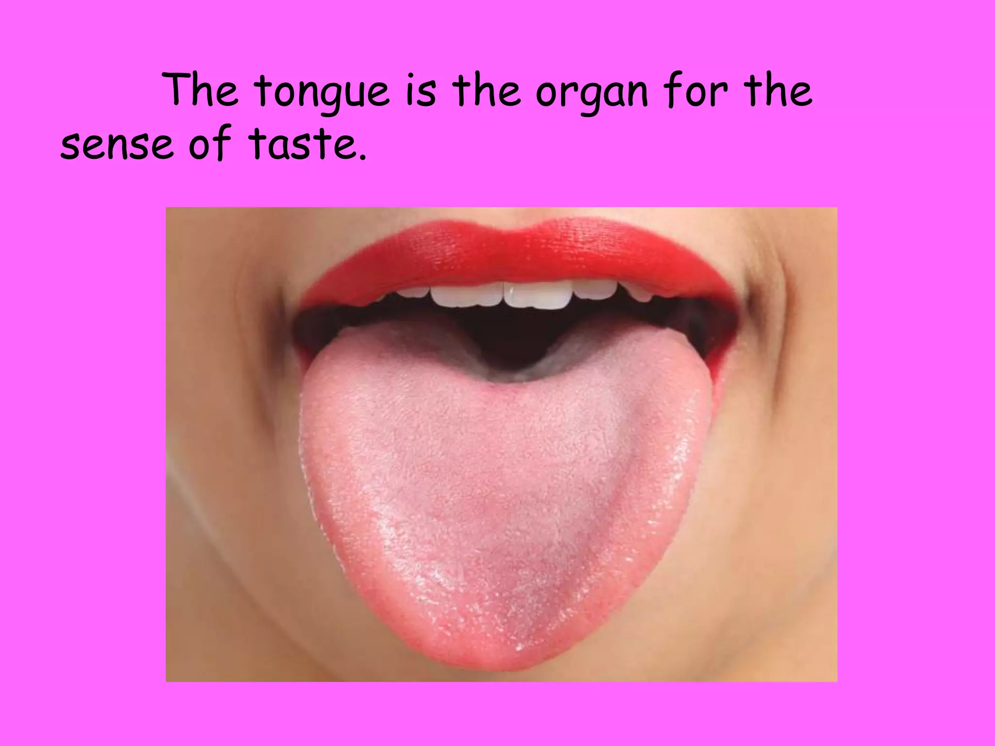The tongue | PPTX