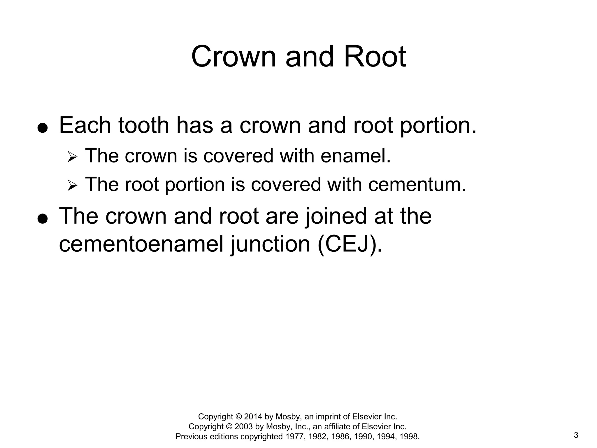 Nomenclature: The tooth functions and terms | PPTX