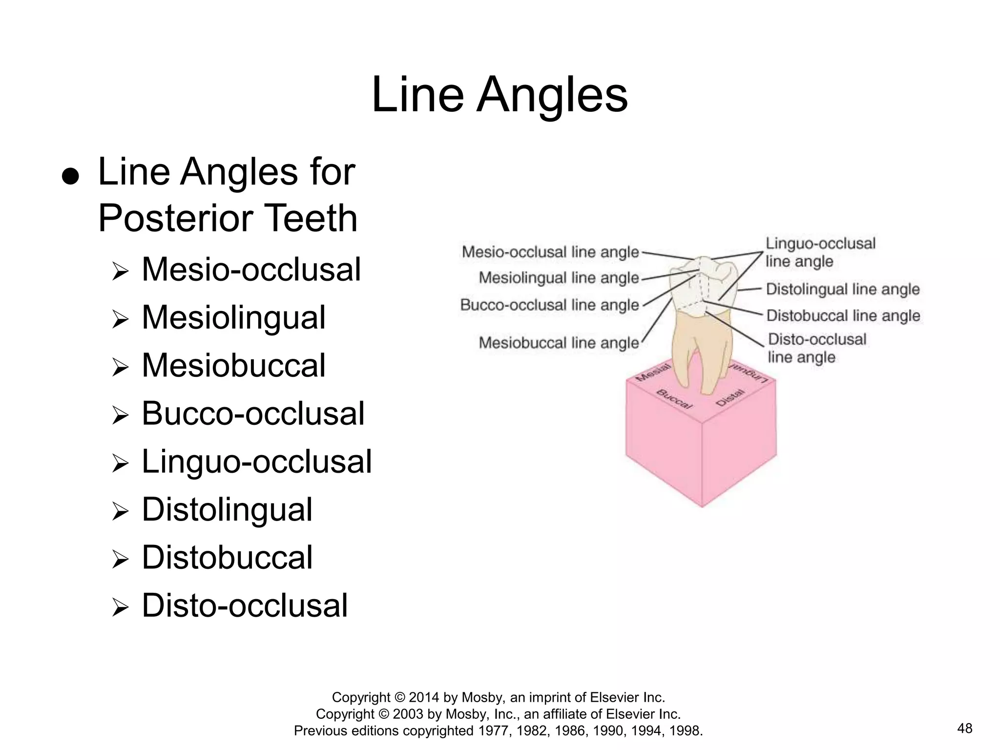 Nomenclature: The tooth functions and terms | PPTX