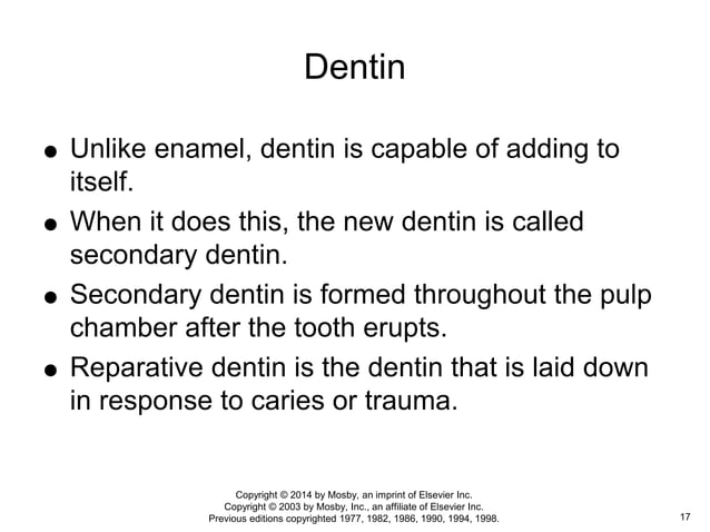 Nomenclature: The tooth functions and terms | PPT