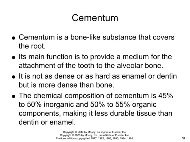 Nomenclature: The tooth functions and terms | PPT