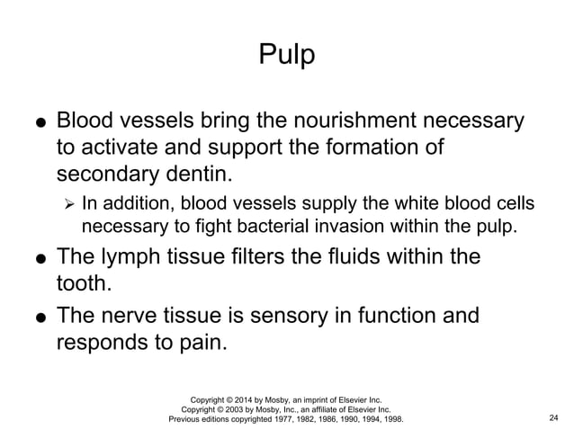 Nomenclature: The tooth functions and terms | PPT