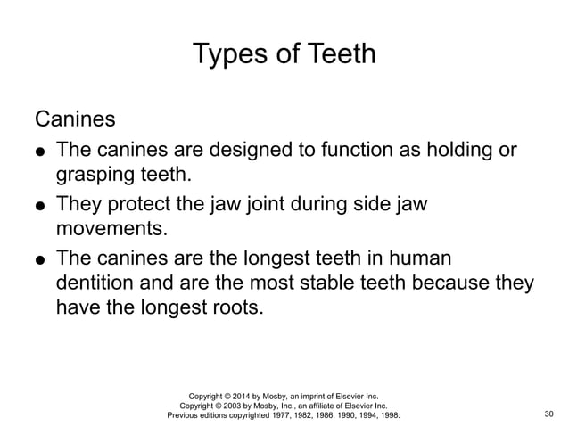 Nomenclature: The tooth functions and terms | PPT