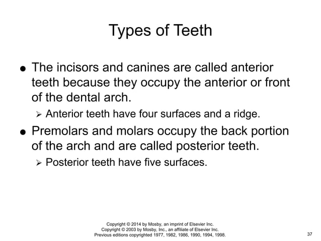 Nomenclature: The tooth functions and terms | PPT