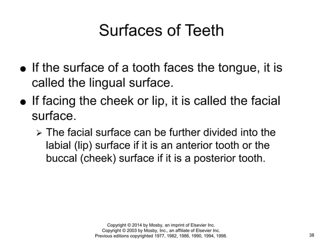 Nomenclature: The tooth functions and terms | PPT