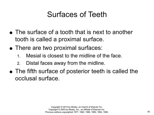 Nomenclature: The tooth functions and terms | PPT