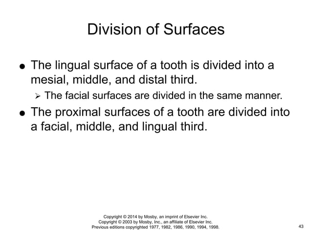 Nomenclature: The tooth functions and terms | PPT