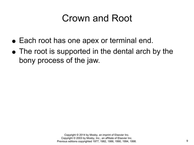 Nomenclature: The tooth functions and terms | PPT