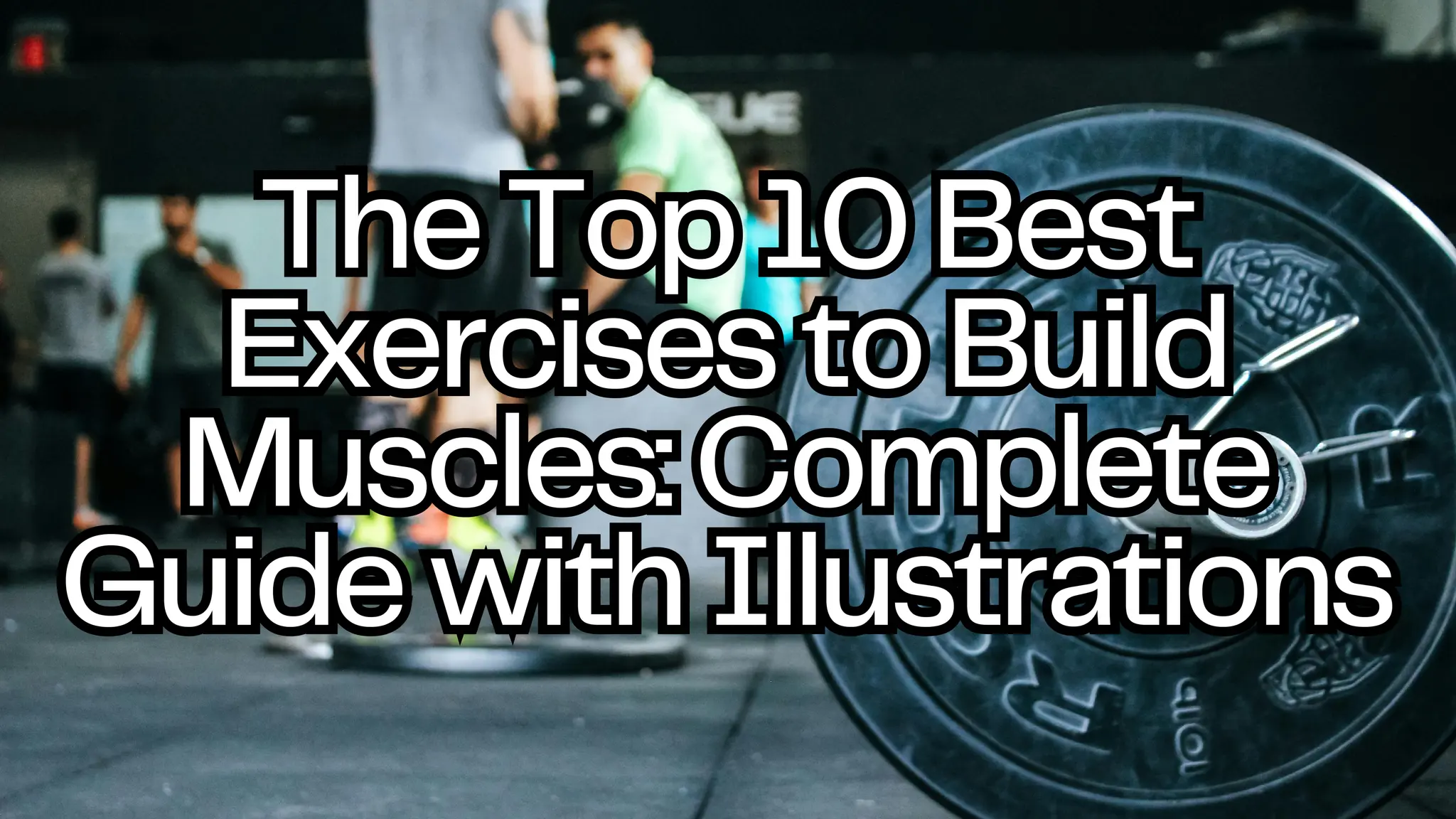 The Top 10 Best Exercises to Build Muscles Complete Guide with ...
