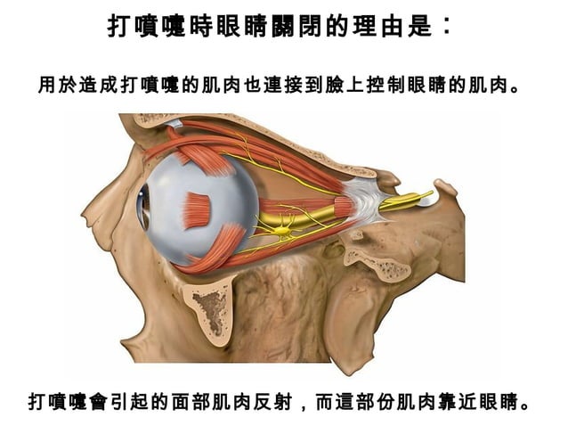 The Top 10 Strangest Things You Didnt Know About The Human Body Ppt