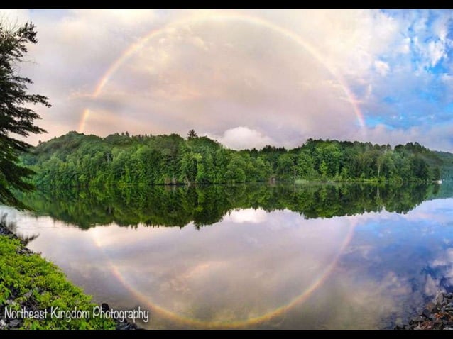 The Top of 50 "Pictures of the Day"for 2013-From Twisted Sifter | PPT