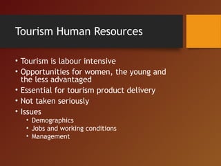 The tourism industry contemporary issues | PPT