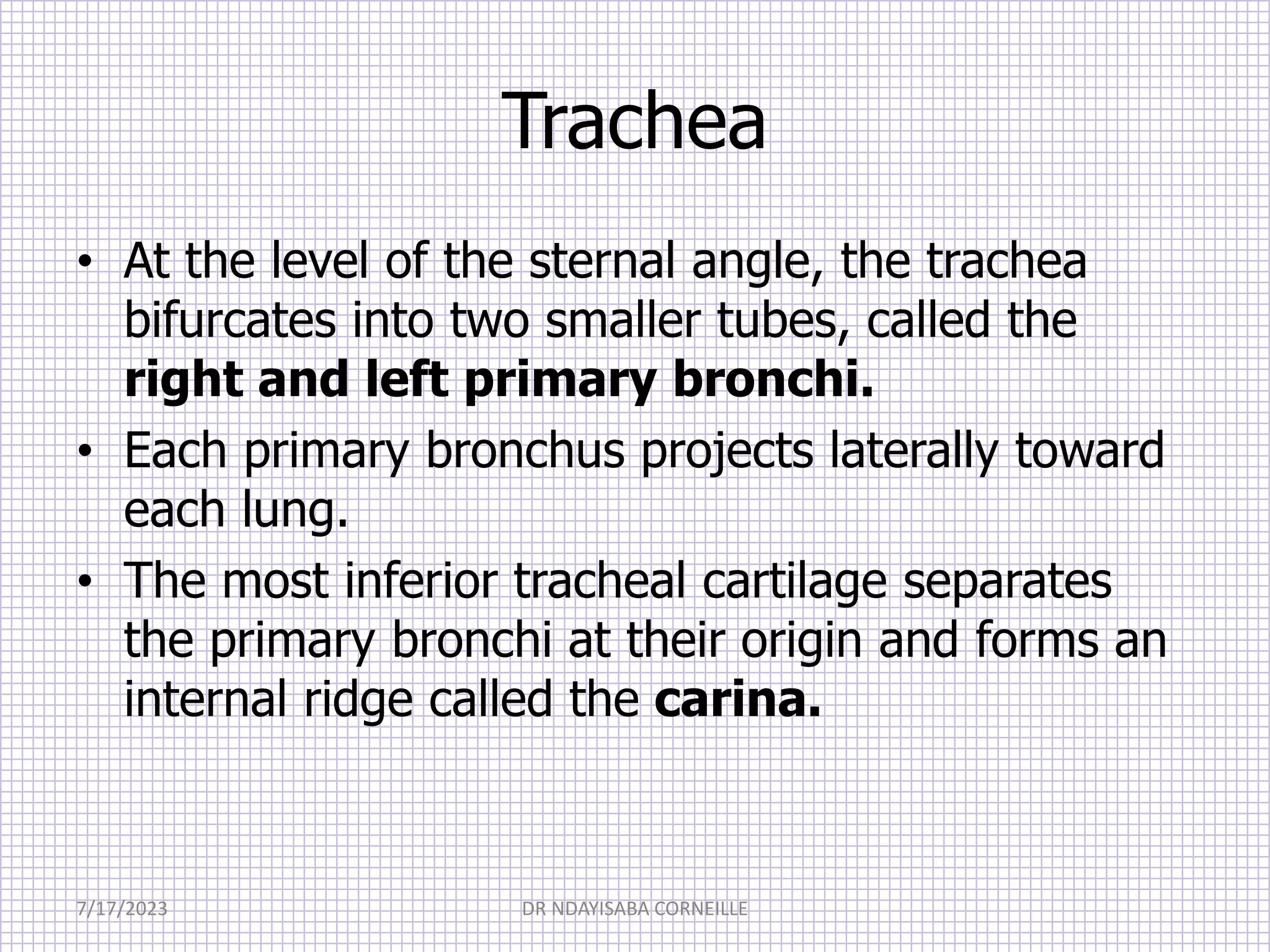 The_trachea.ppt