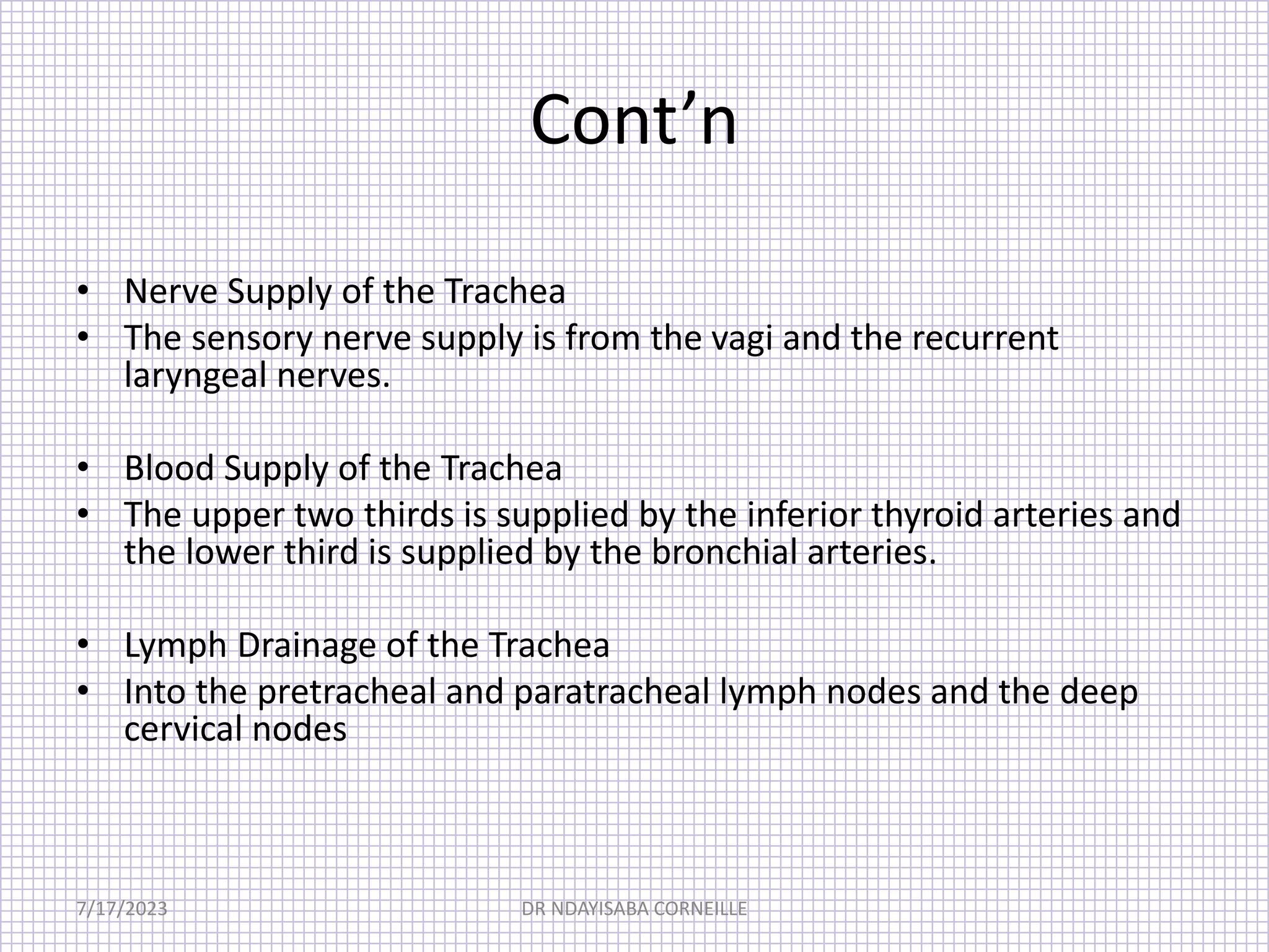 The_trachea.ppt
