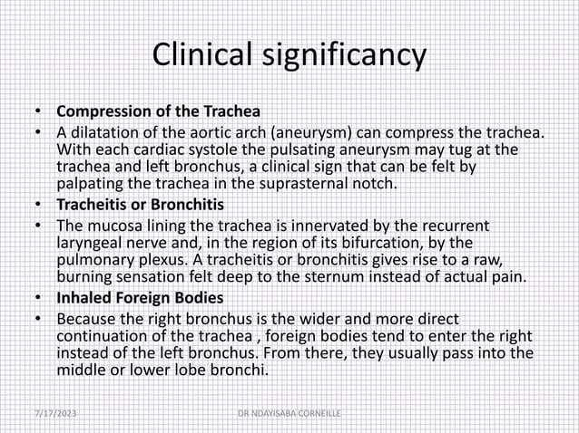 The_trachea.ppt