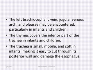 The_trachea.ppt