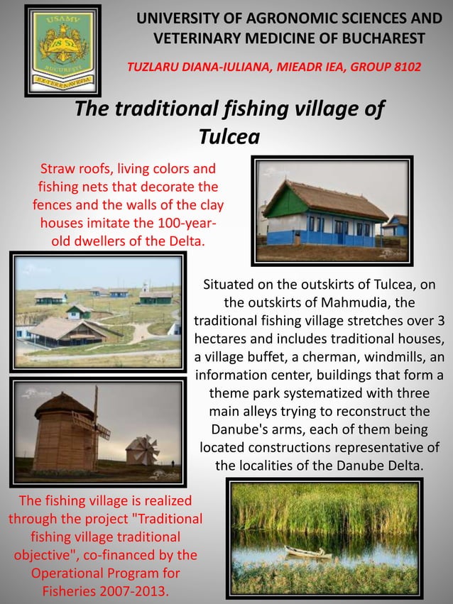 The traditional fishing village of tulcea | PPTX | Fish and Aquariums | Pets