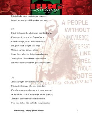 The Tragedy of White Injustice: Philosophy and Opinions of Marcus ...