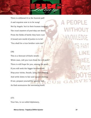 The Tragedy of White Injustice: Philosophy and Opinions of Marcus ...