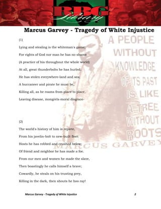 The Tragedy of White Injustice: Philosophy and Opinions of Marcus ...