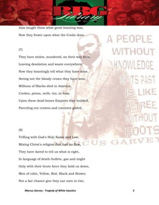 The Tragedy of White Injustice: Philosophy and Opinions of Marcus ...