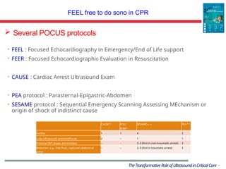 TheTransformative Role of Ultrasound in Critical Care ppt.pptx
