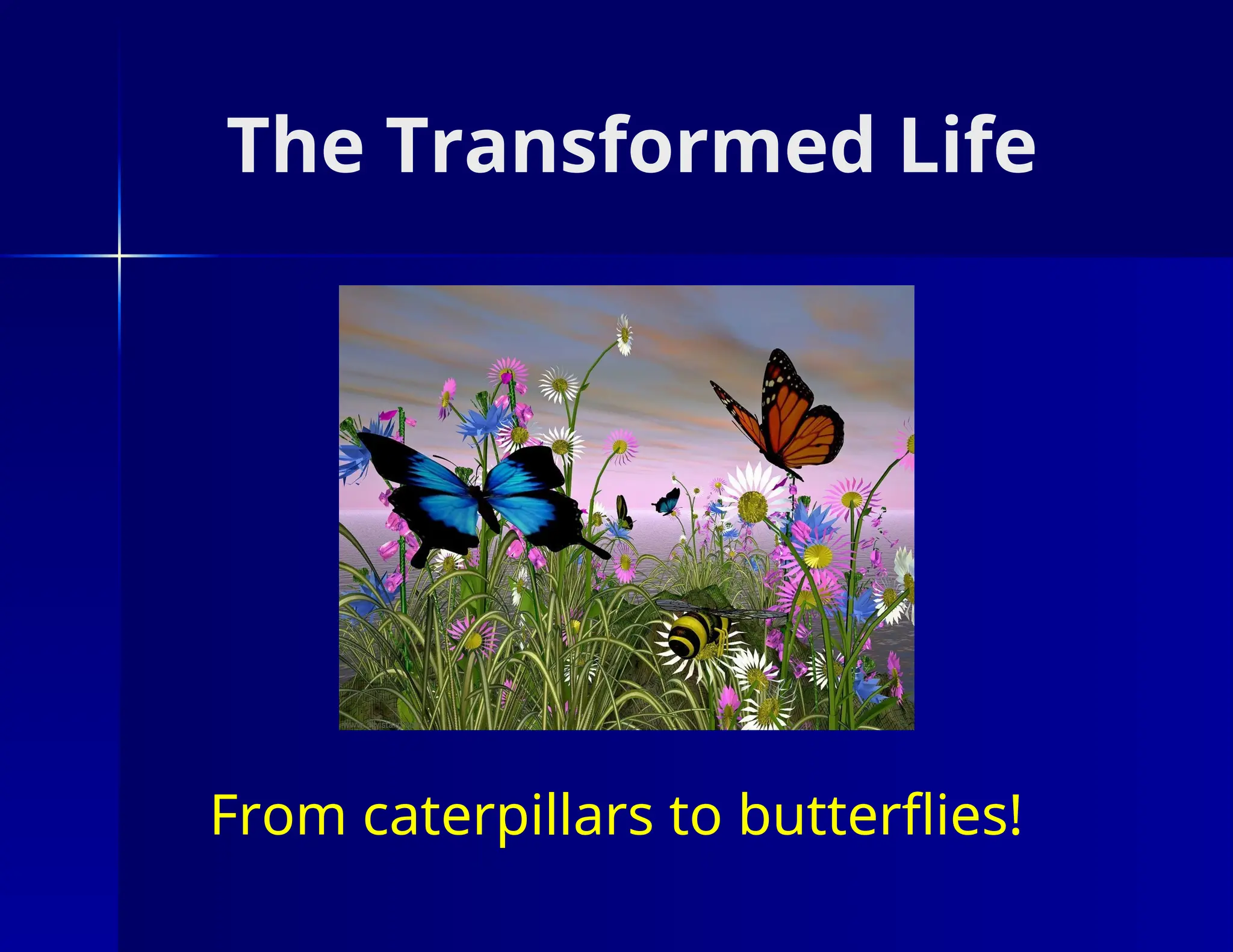 The Transformed Life for the Christian Faith | PPT