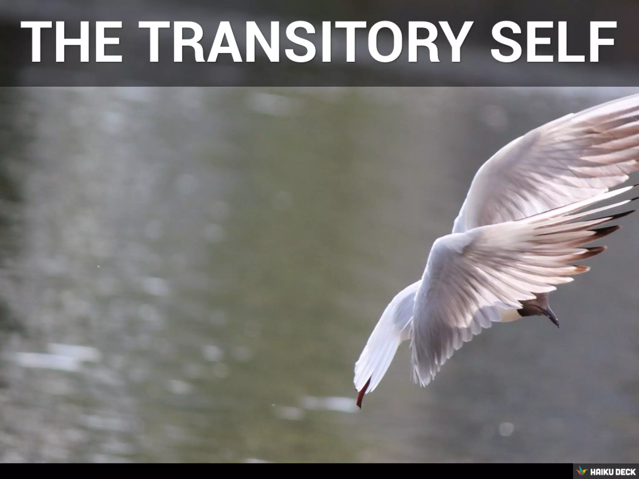 The Transitory Self | PPT