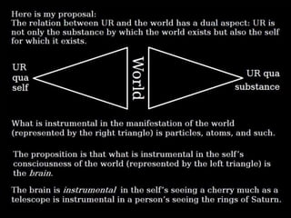 The Transparent Brain presentation [Ulrich Mohrhoff] | PPT