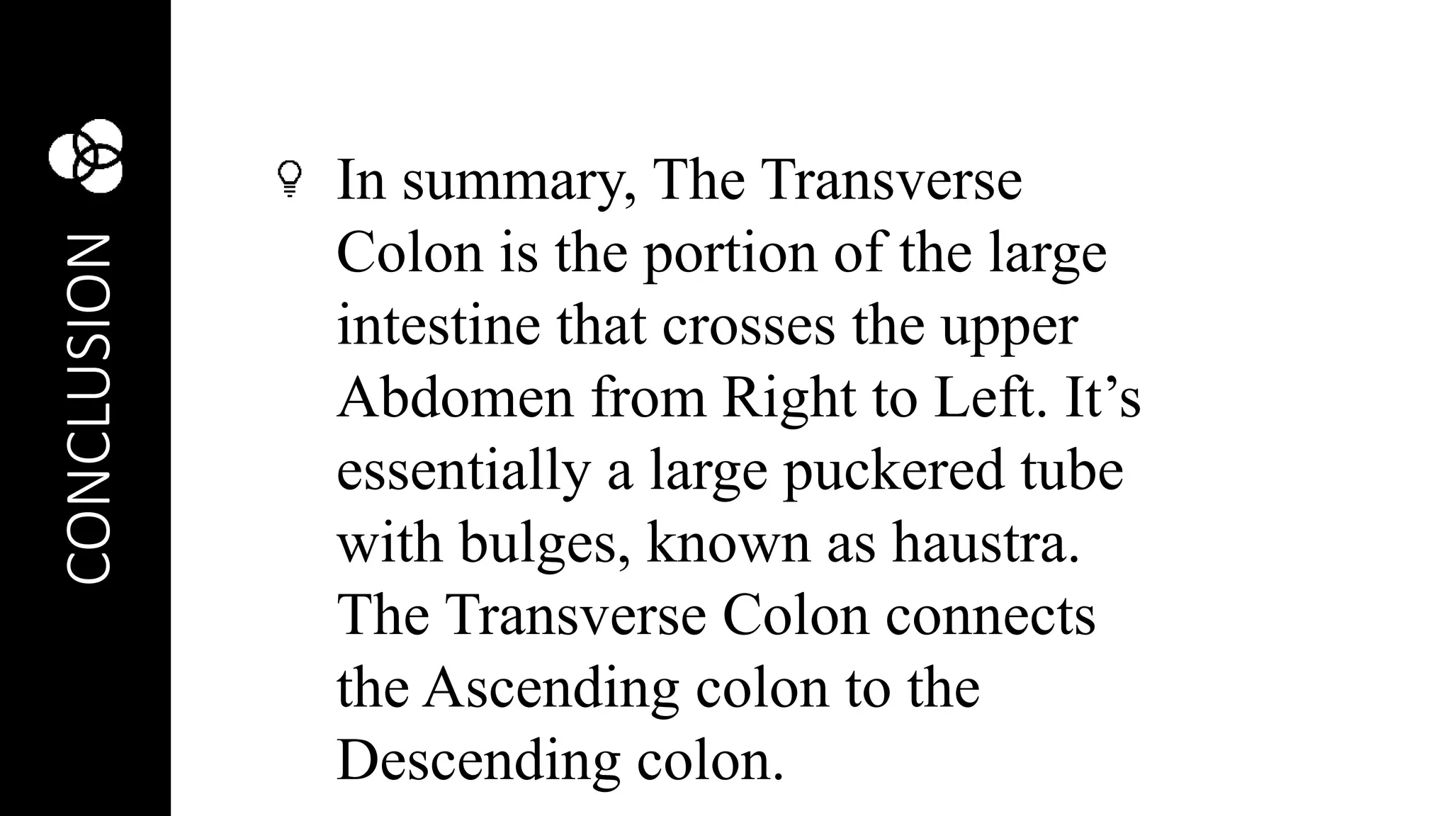 THE TRANSVERSE COLON anatomy bsc nursing | PPT
