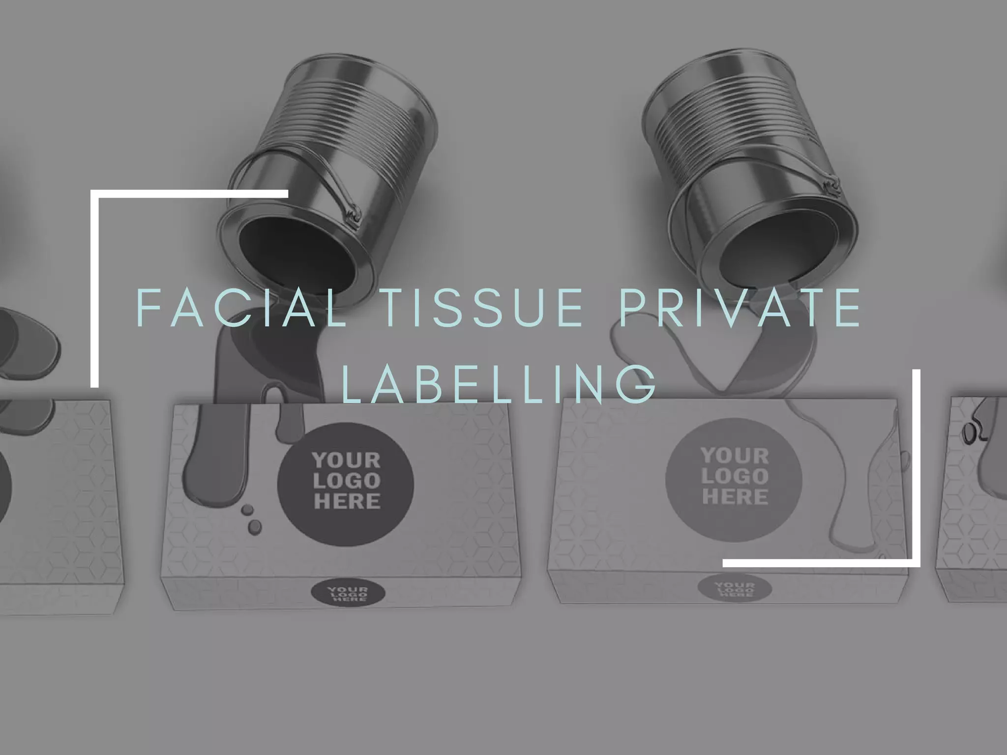 Hottest Tissue Paper Designs in PaperLink | PDF