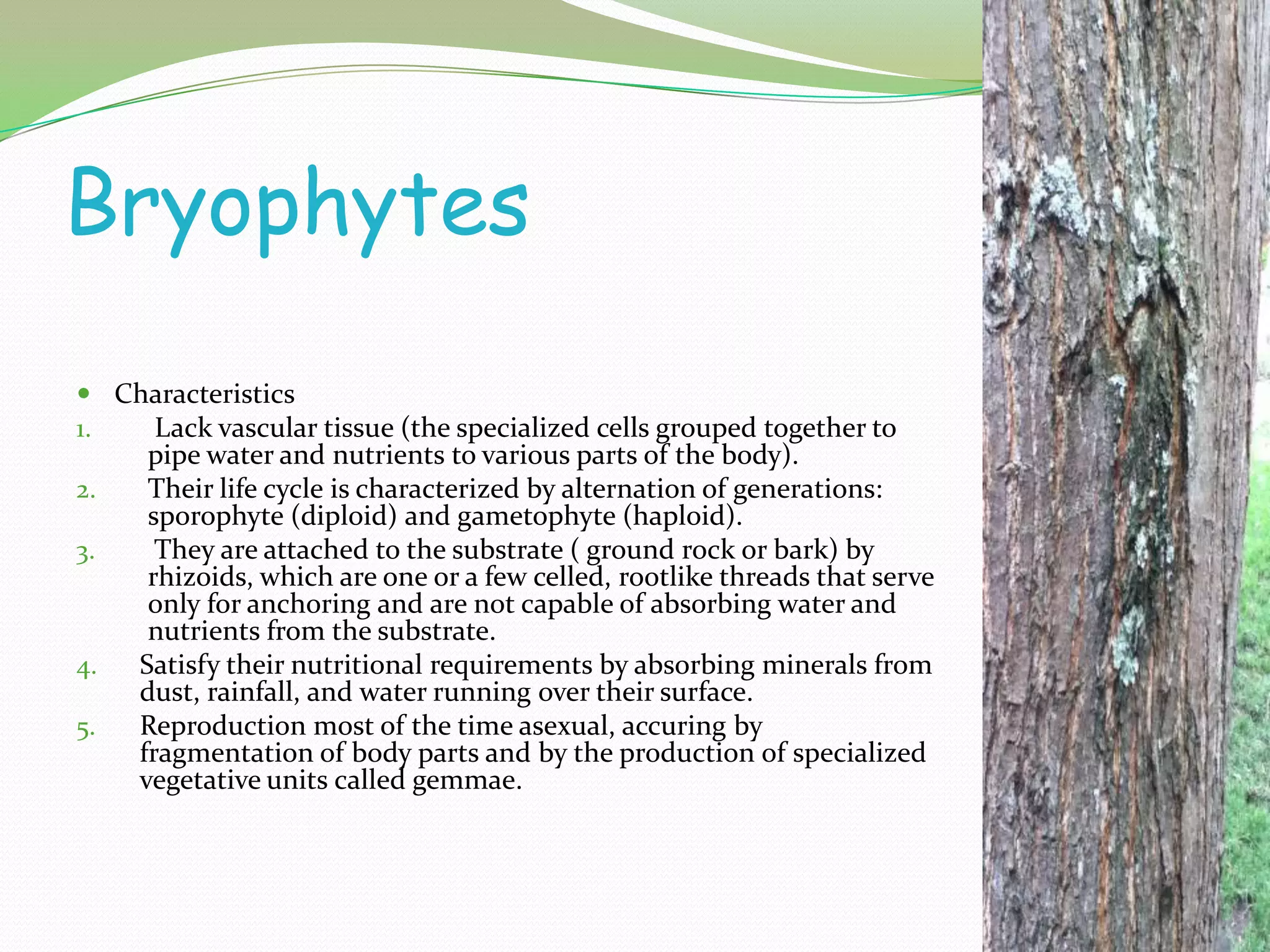 The tree of life | PPTX