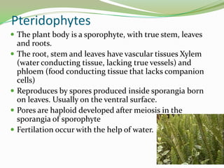 The tree of life | PPTX