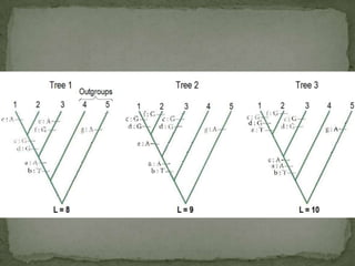 The tree of life | PPTX