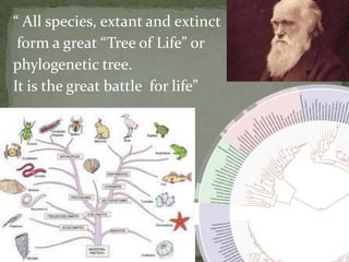 The tree of life | PPTX