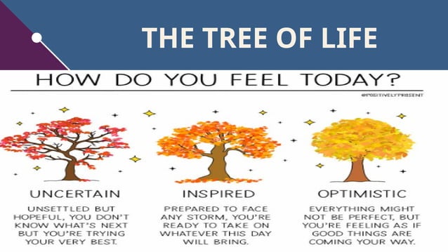 The tree of life (coconut tree) hehe.pptx